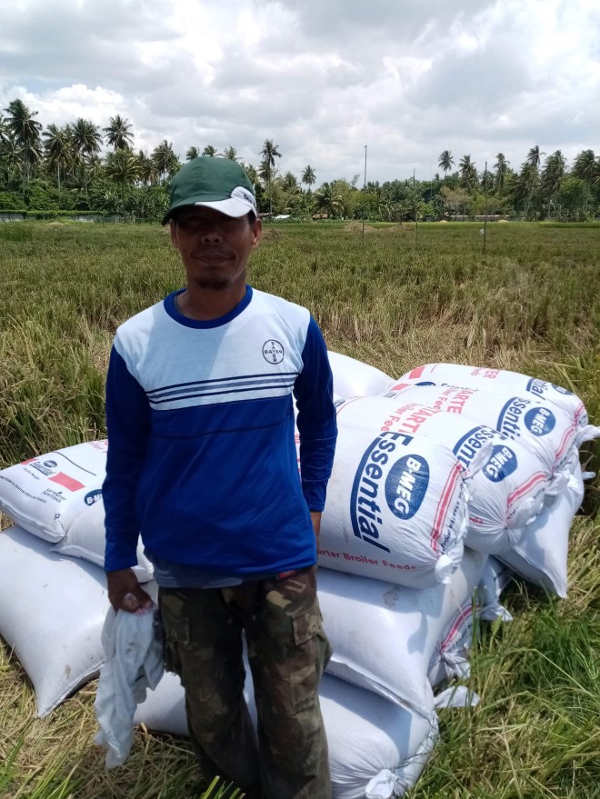 Former AFP soldier now highest yielder of Arize hybrid rice – Growth ...