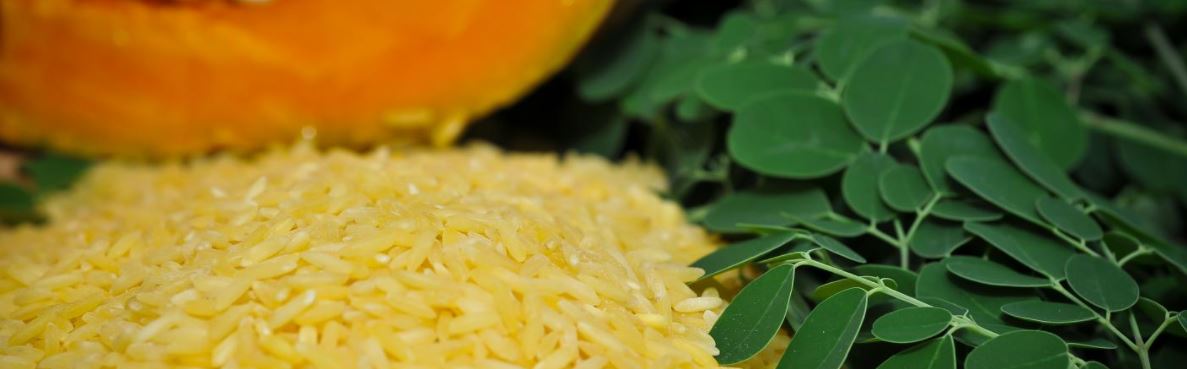 First-of-its-kind Golden Rice to save 190 million children from risks ...