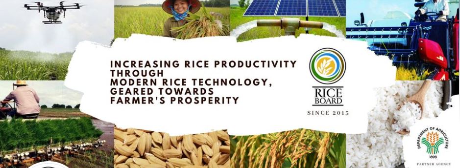 Rice Board supports DA’s clustering program for 100 hectares of hybrid ...